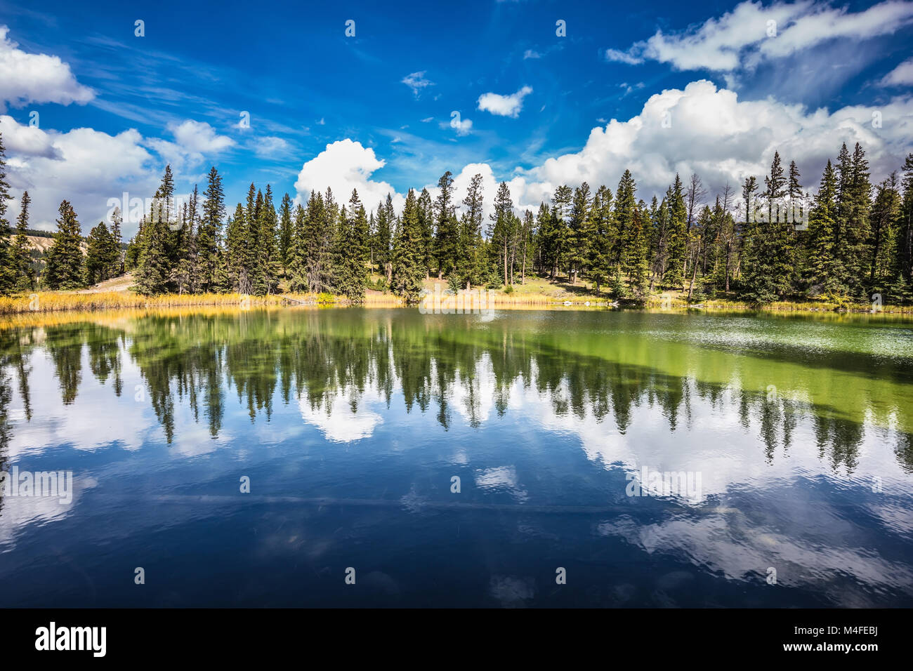 Adorable little lake Stock Photo - Alamy