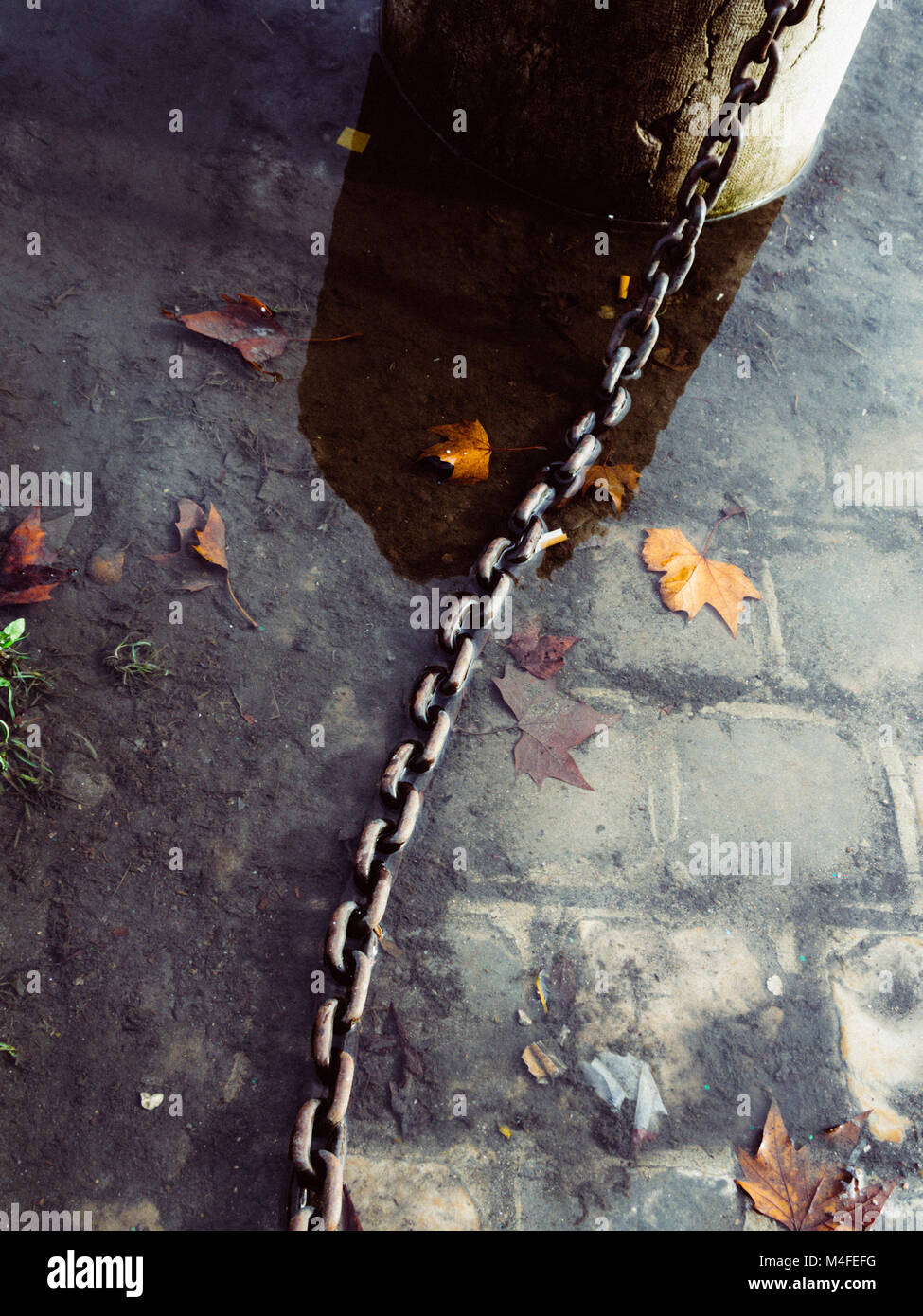 Chain of support hi-res stock photography and images - Alamy