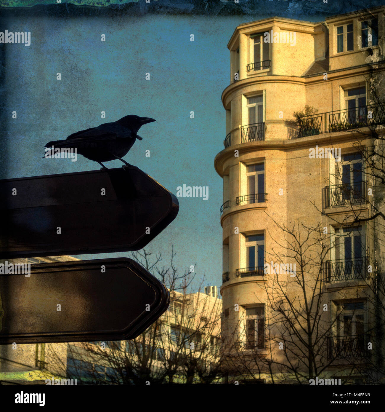 Bird on a sign by an apartment block in Paris, France Stock Photo - Alamy