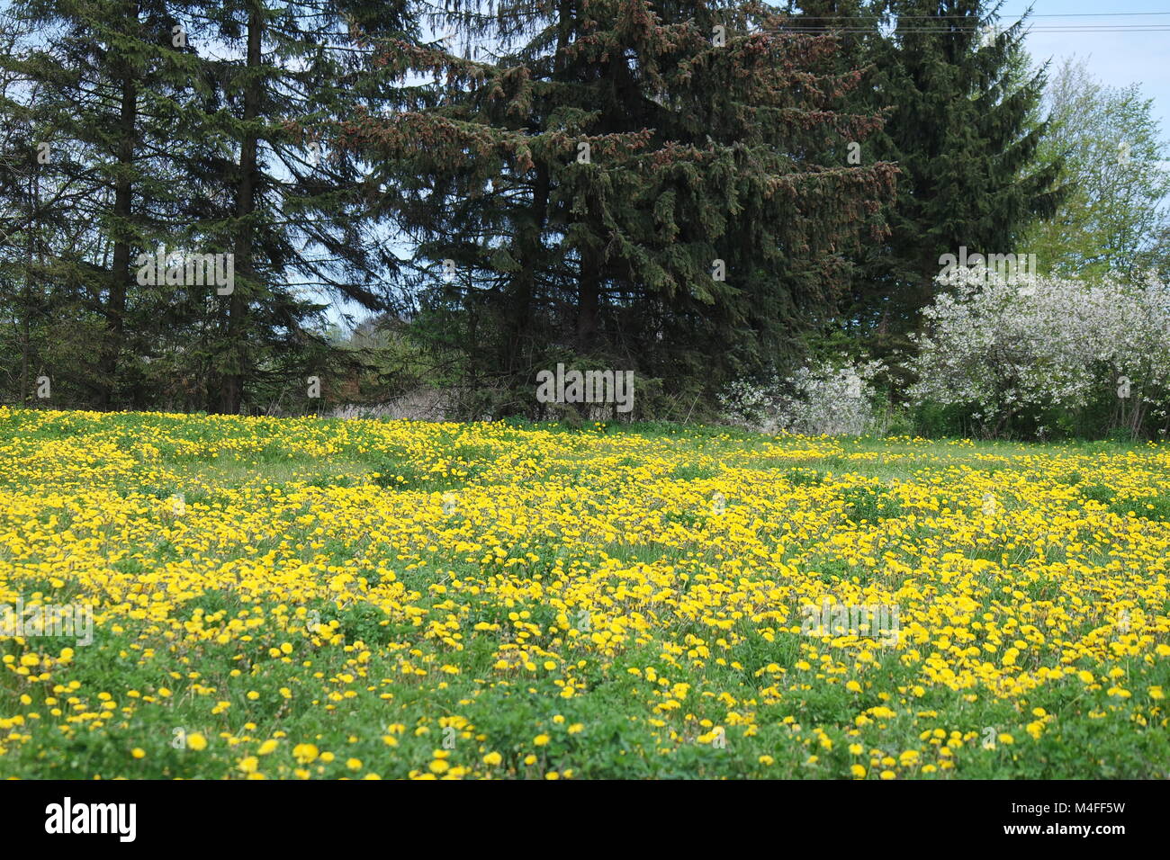Rural spring hi-res stock photography and images - Alamy
