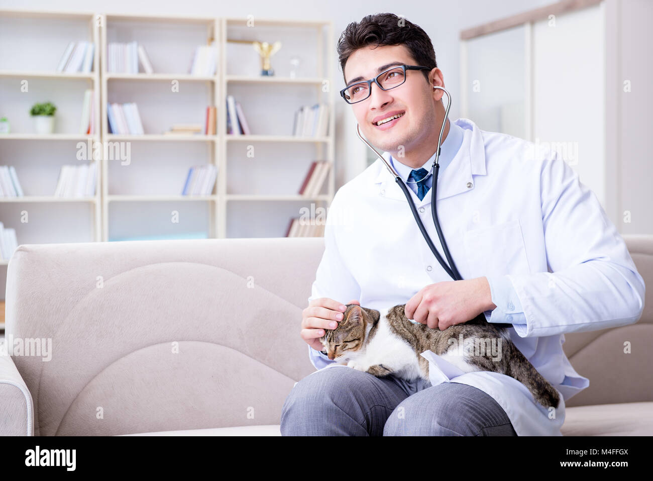 Cat visiting vet for regular check up Stock Photo - Alamy