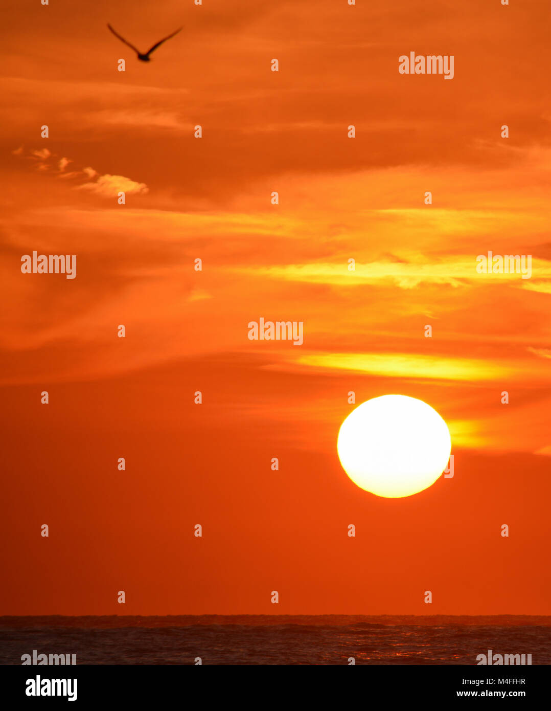 A beautiful sunset Stock Photo - Alamy