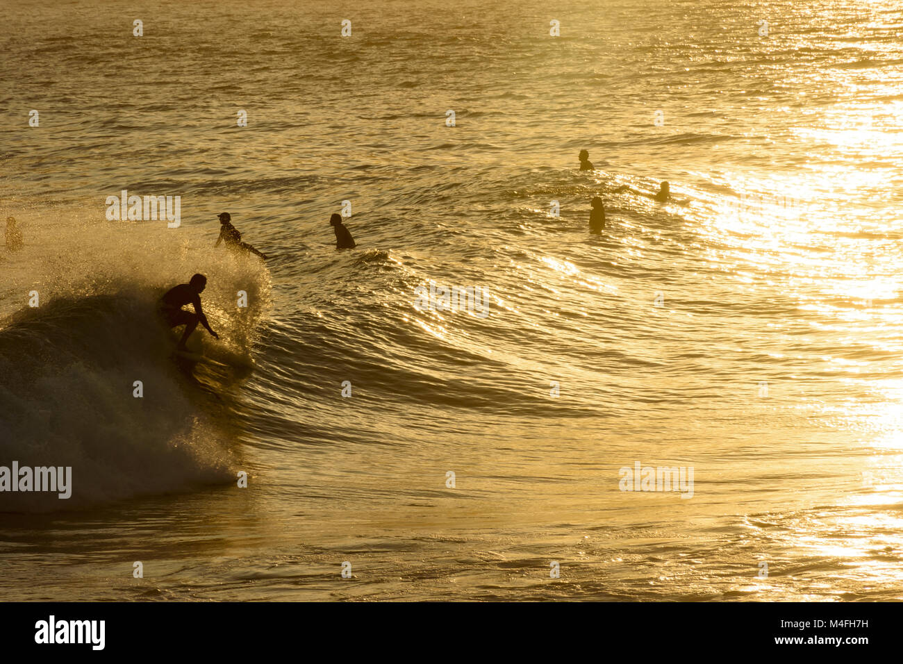 Surf at sunset Stock Photo - Alamy