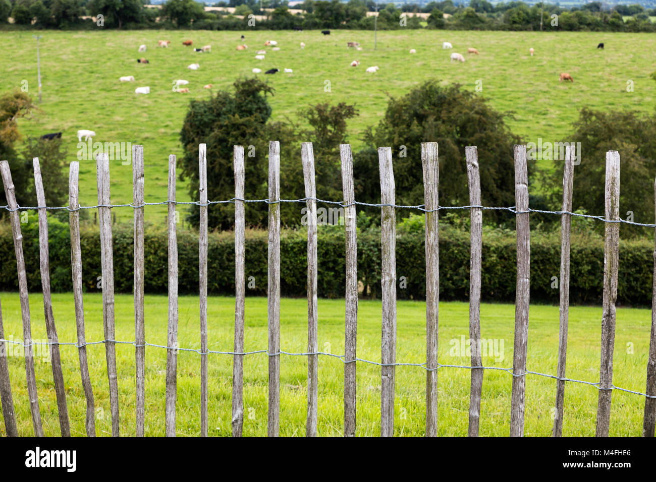 Wooden fence, Ireland Stock Photo - Alamy