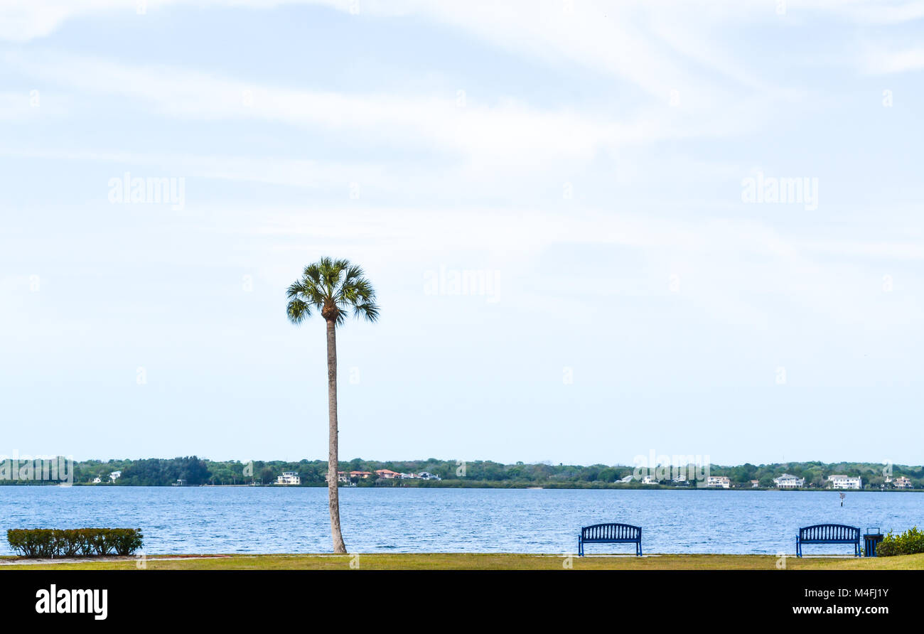 Palm tree habitat hi-res stock photography and images - Alamy