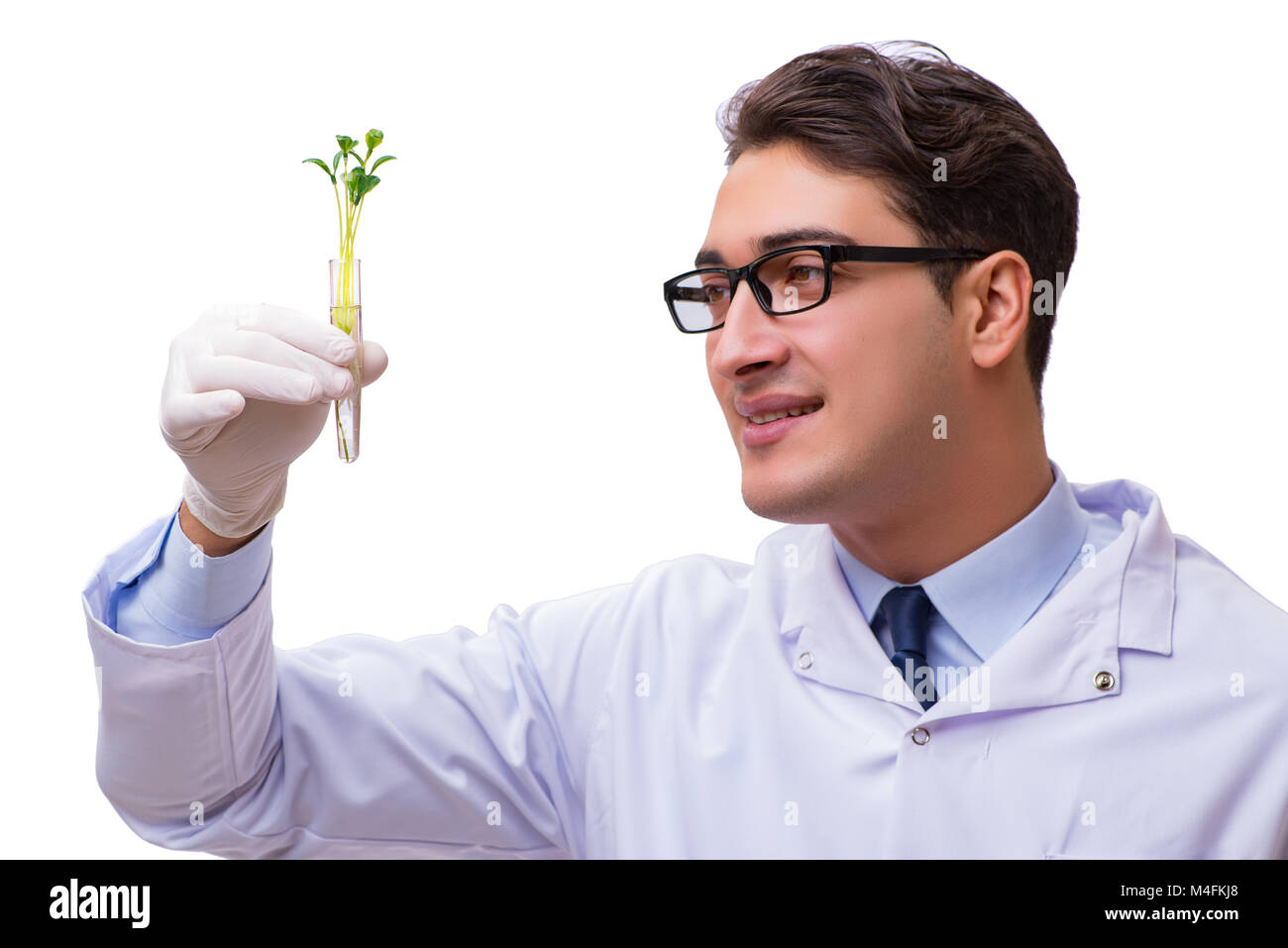 Scientist with green seedling in glass isolated on white Stock Photo ...