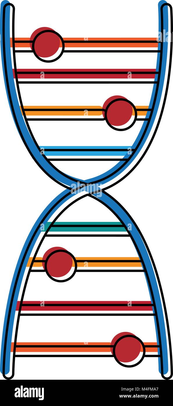 Human dna symbol Stock Vector Image & Art - Alamy