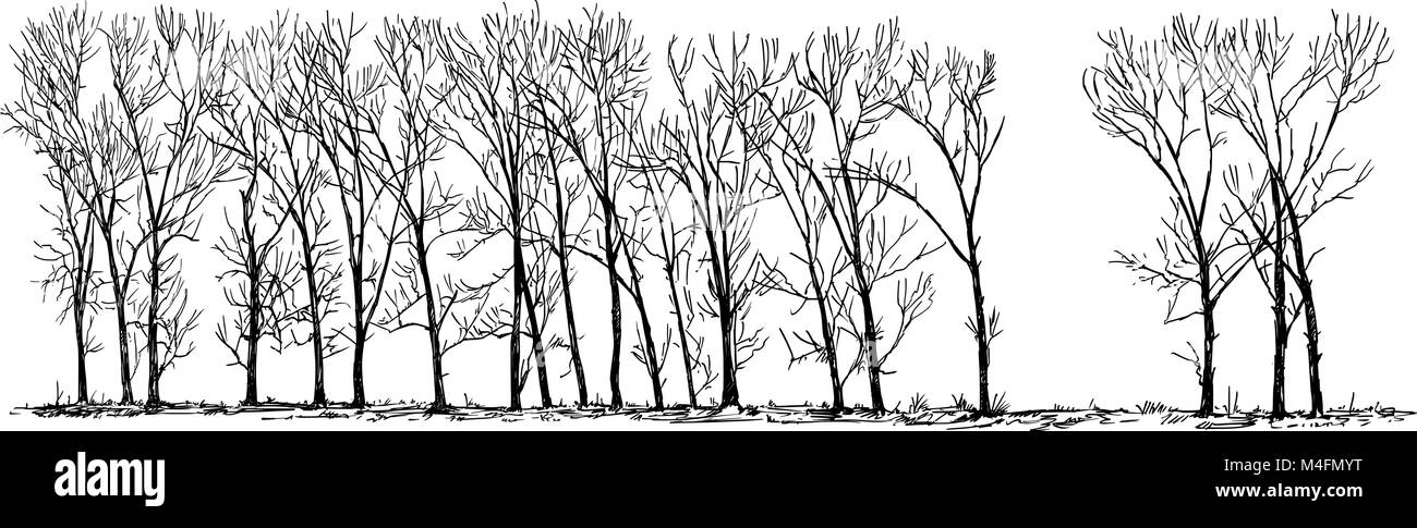 Tree hand drawing hi-res stock photography and images - Alamy