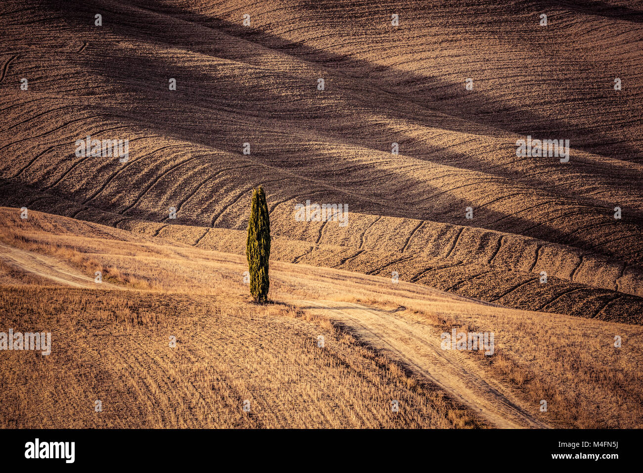 Tuscany fields autumn landscape, Italy. Harvest season Stock Photo - Alamy