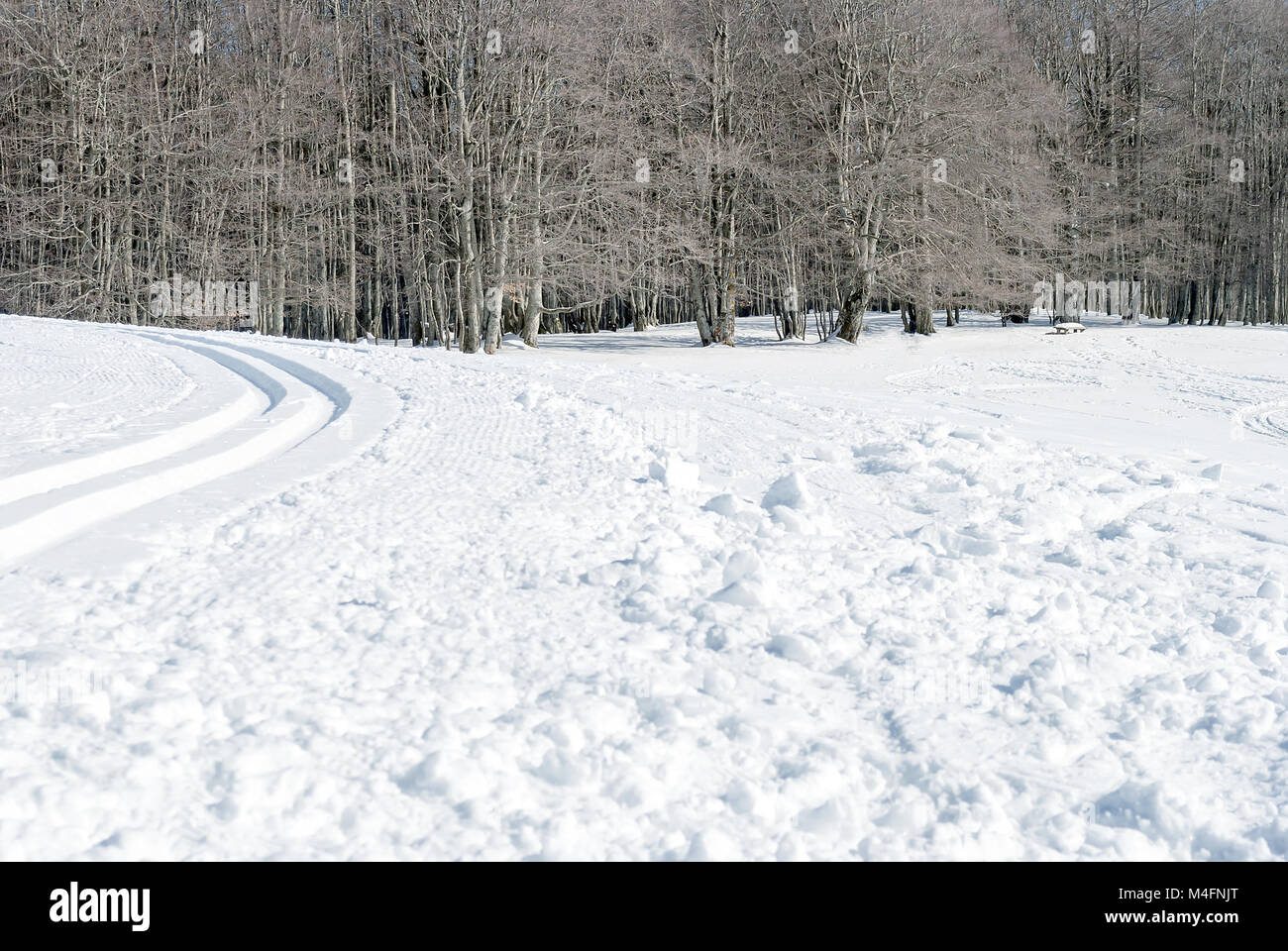 Sunny and snowy hi-res stock photography and images - Alamy