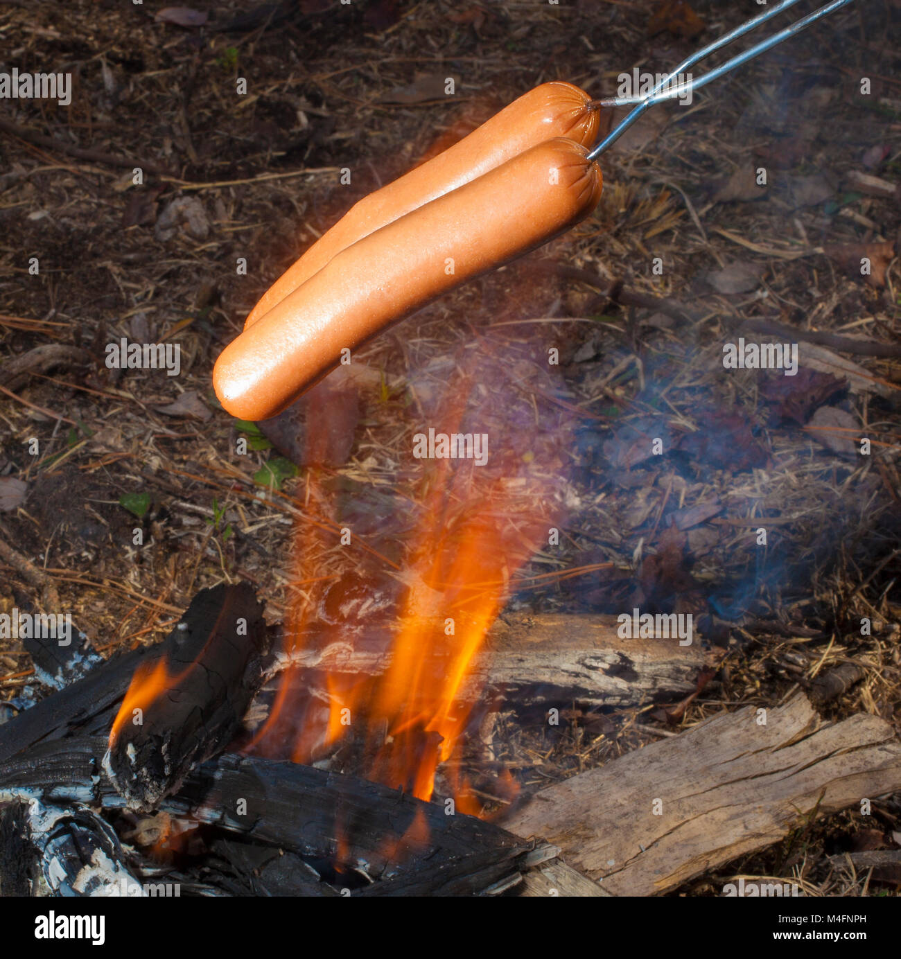 Two hot dogs cooking over a modest campfire Stock Photo - Alamy