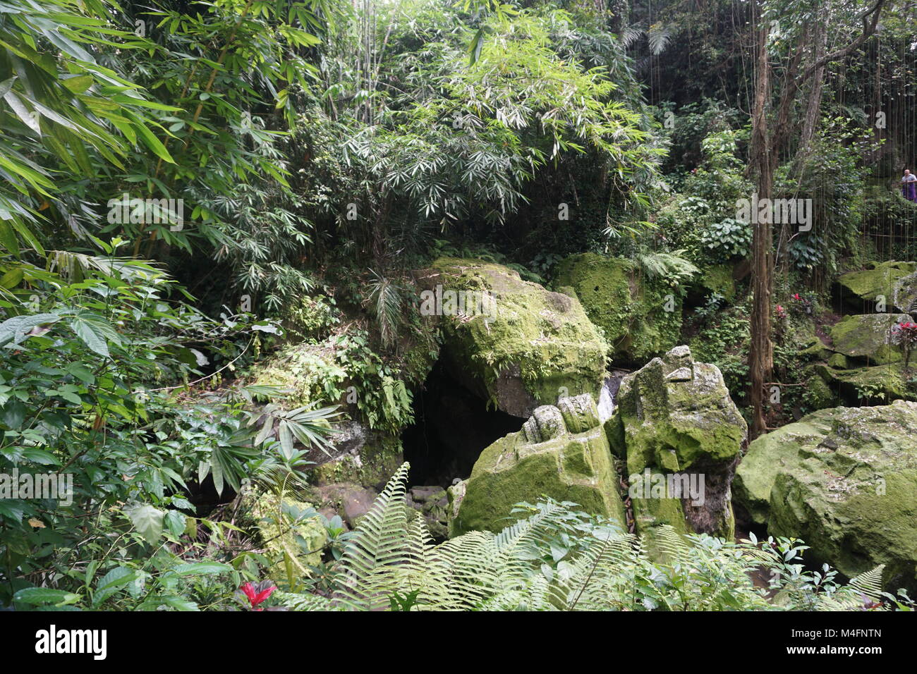 Entrance of the cave in Bali Indonesia in the jungle Stock Photo - Alamy