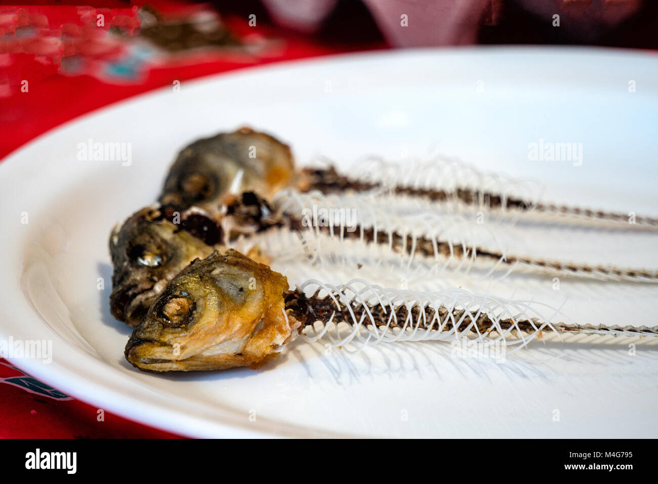Skeleton of fish on a plate. On the plate are three fish heads and ...
