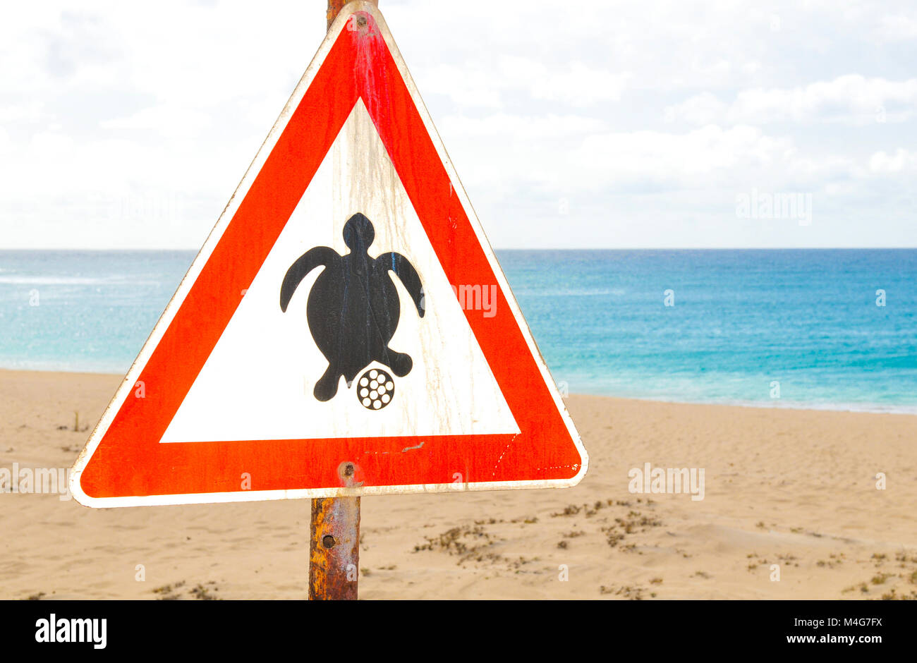 Turtle sign cape verde hi-res stock photography and images - Alamy