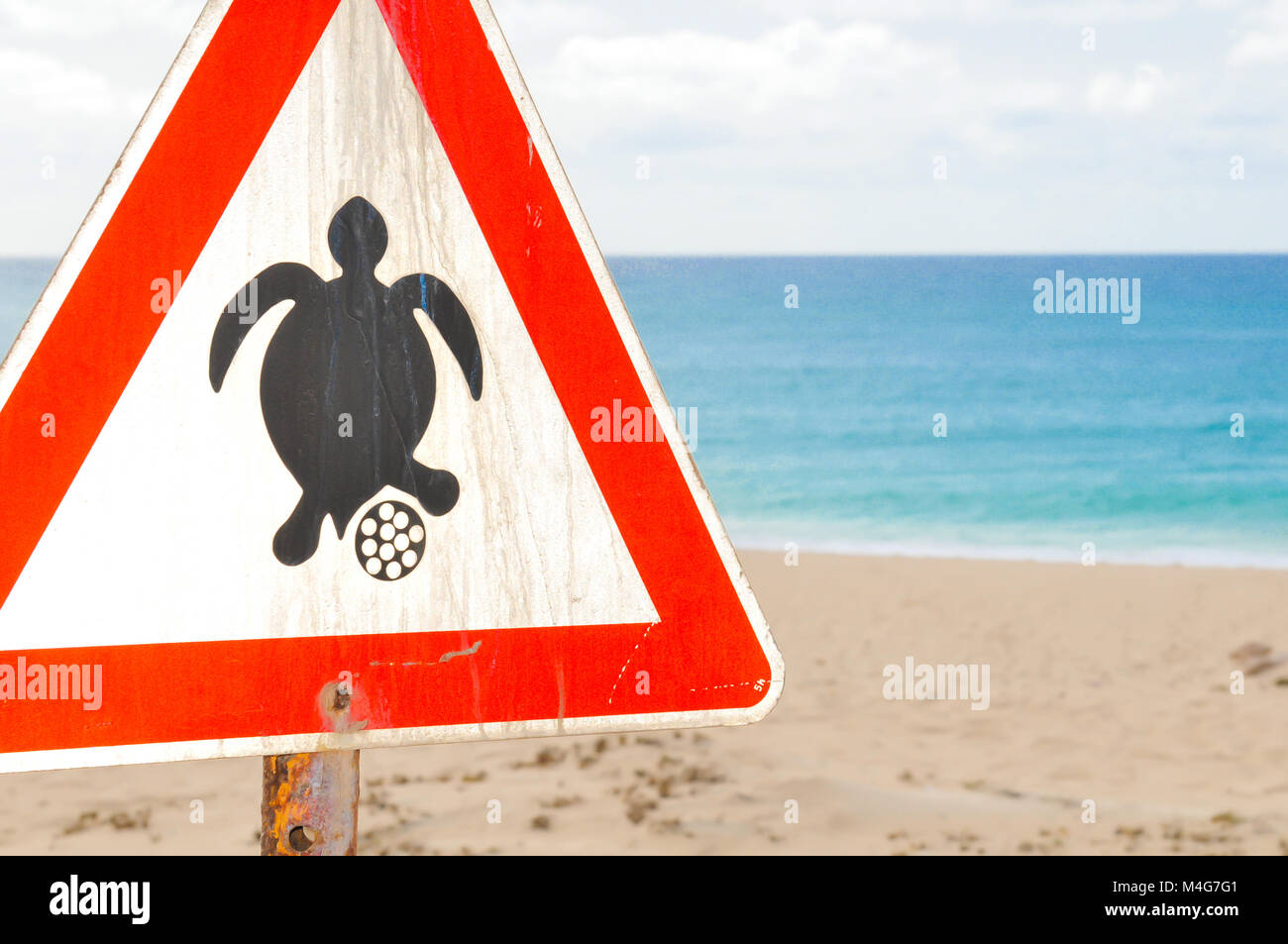 Sign turtles nesting hi-res stock photography and images - Alamy