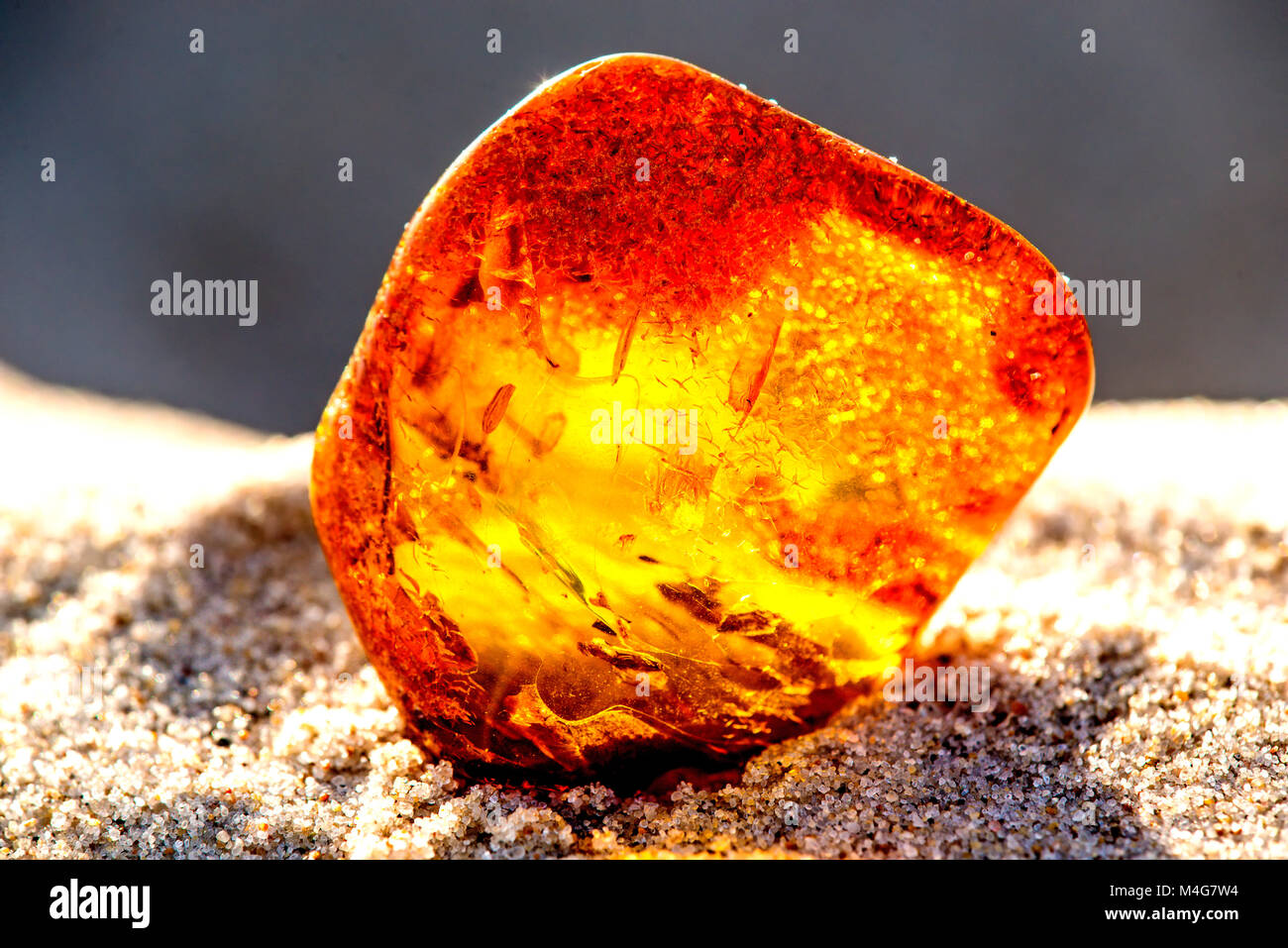 Amber on a beach of the Baltic Sea Stock Photo - Alamy