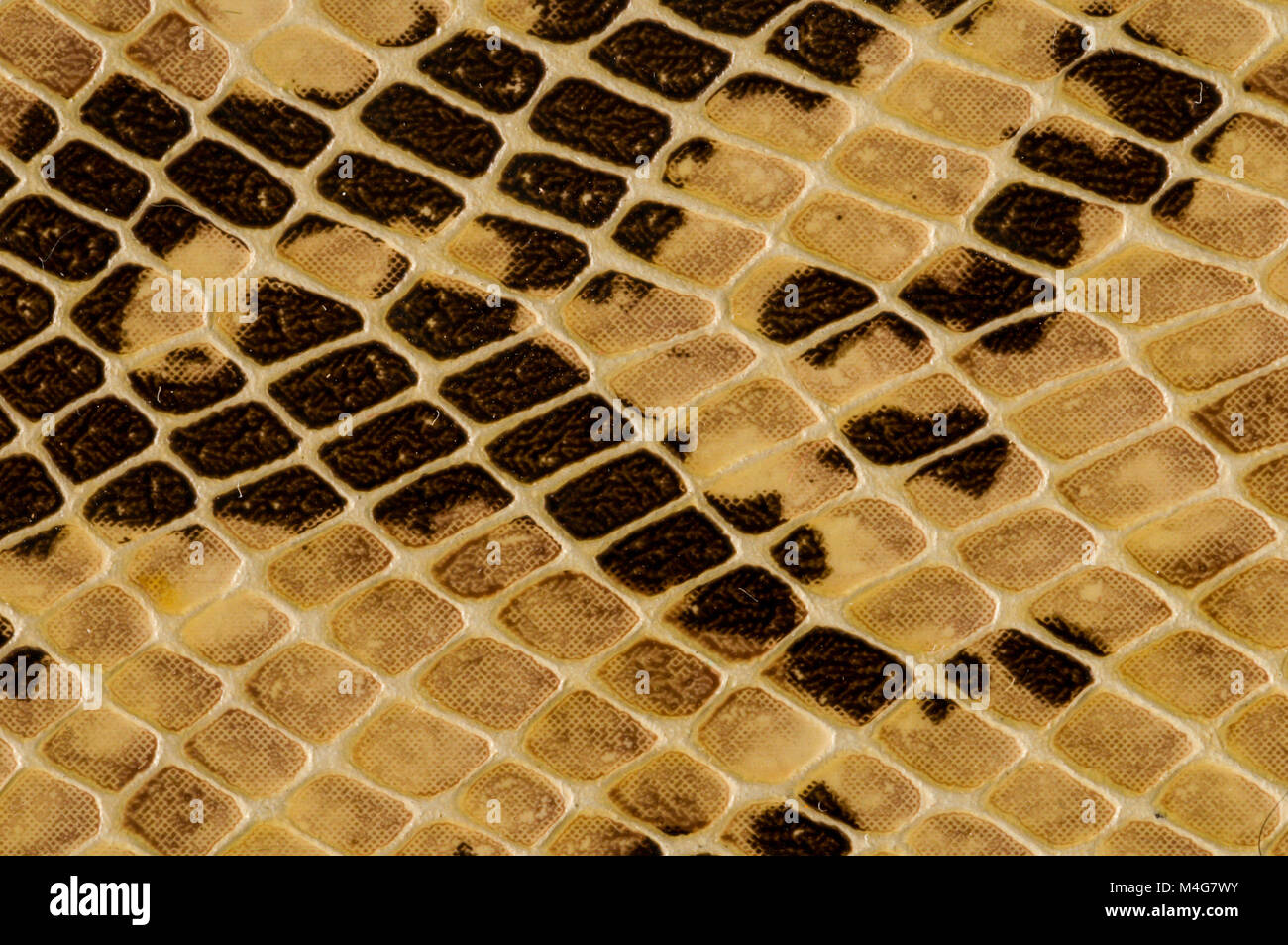 Photo of Snake skin pattern background texture Stock Photo - Alamy