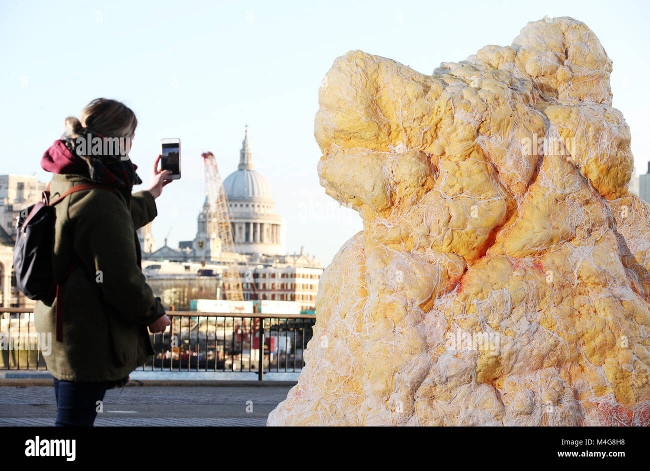 Gigantic lump of real fat hi-res stock photography and images - Alamy