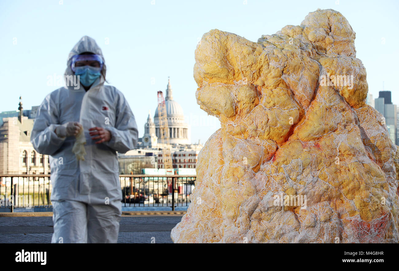 Gigantic lump of real fat hi-res stock photography and images - Alamy