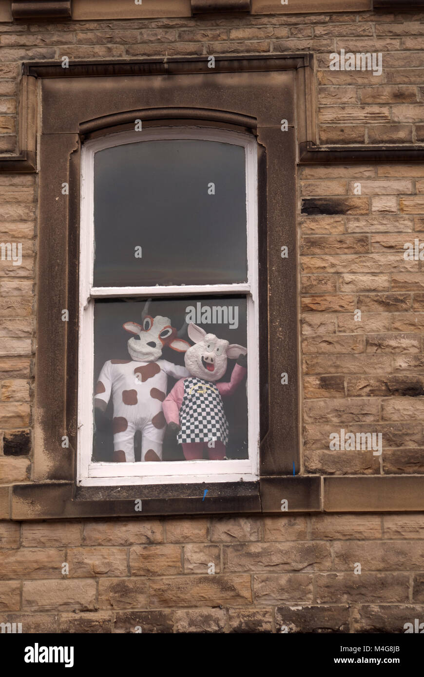 Toy cow and pig in window, Barnard Castle, County Durham Stock Photo ...