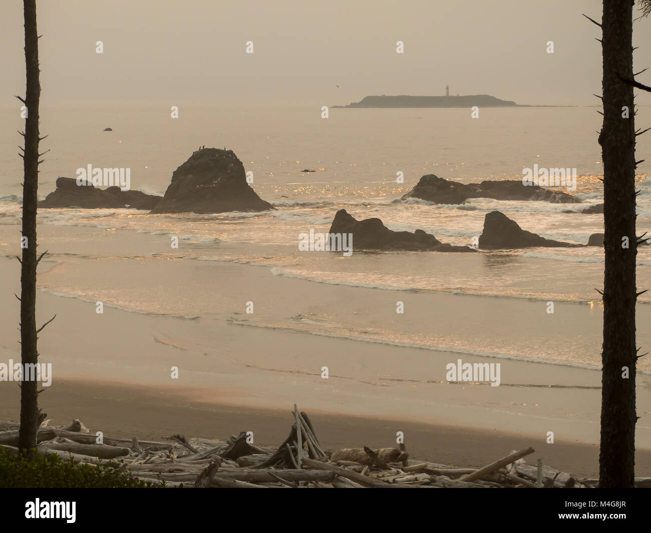 Ruby Beach, Olympic National Park, Washington Stock Photo - Alamy