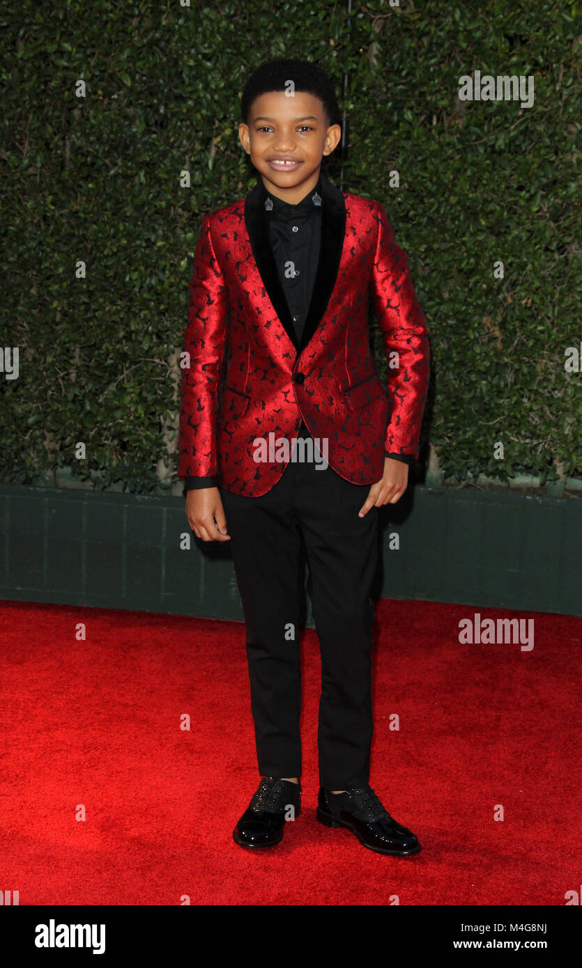 49th NAACP Image Awards 2018 Arrivals held at the Pasadena Civic ...