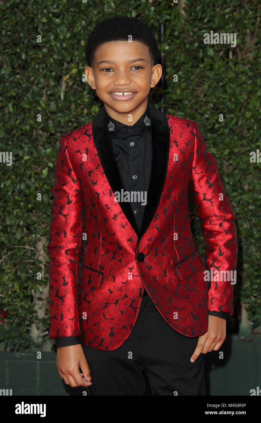 49th NAACP Image Awards 2018 Arrivals held at the Pasadena Civic ...