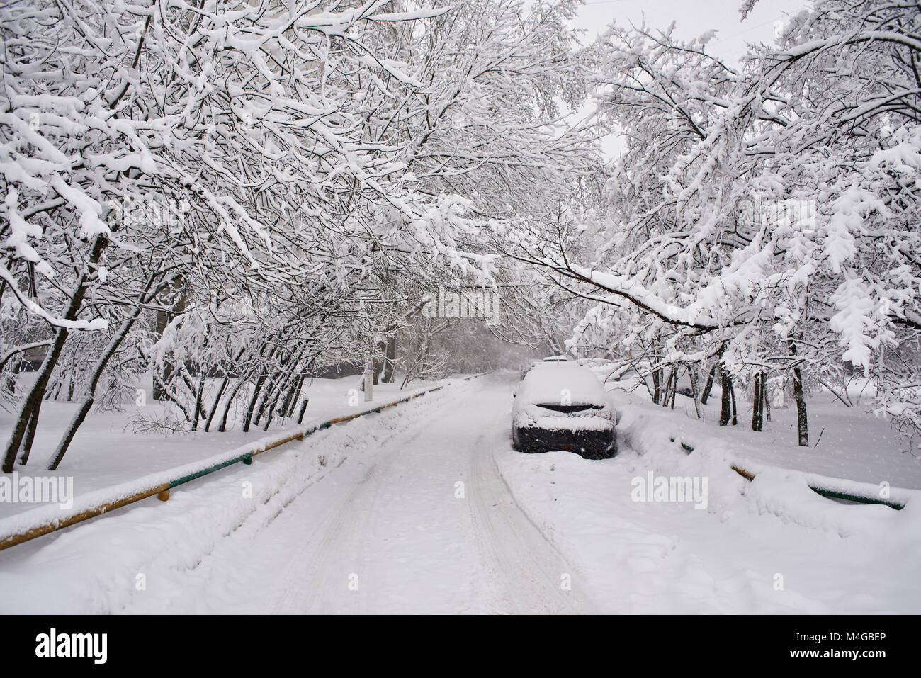 Cars on the road in the snowfall Stock Photo - Alamy