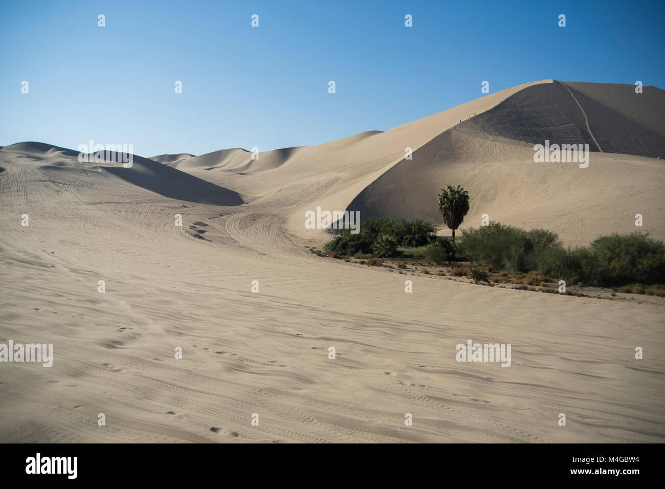 La Huacachina Oasis in Ica desert in Peru Stock Photo - Alamy