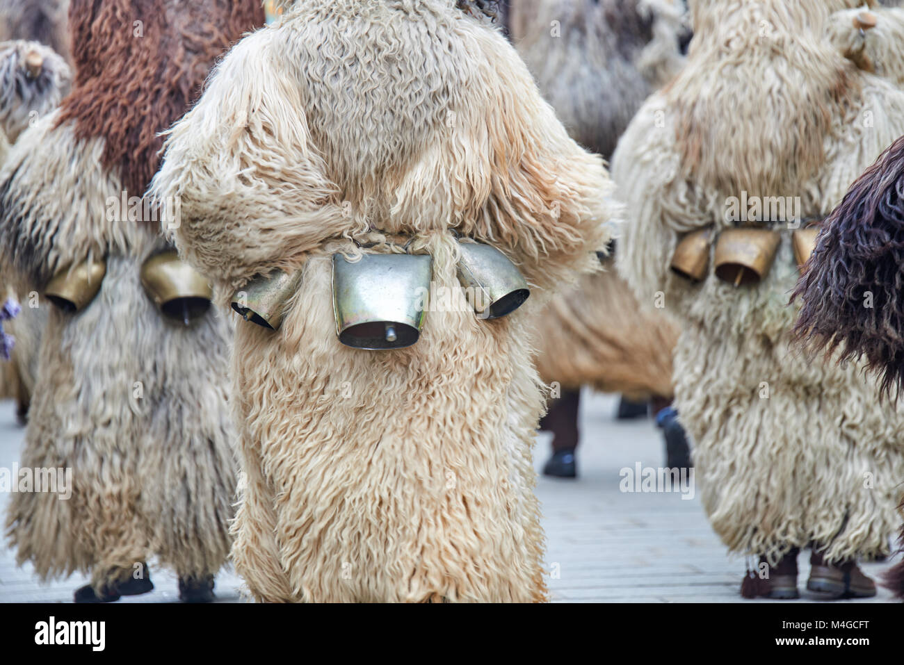 Kurent’s cow bell, Slovenian traditional mask. Bells hanging on the ...