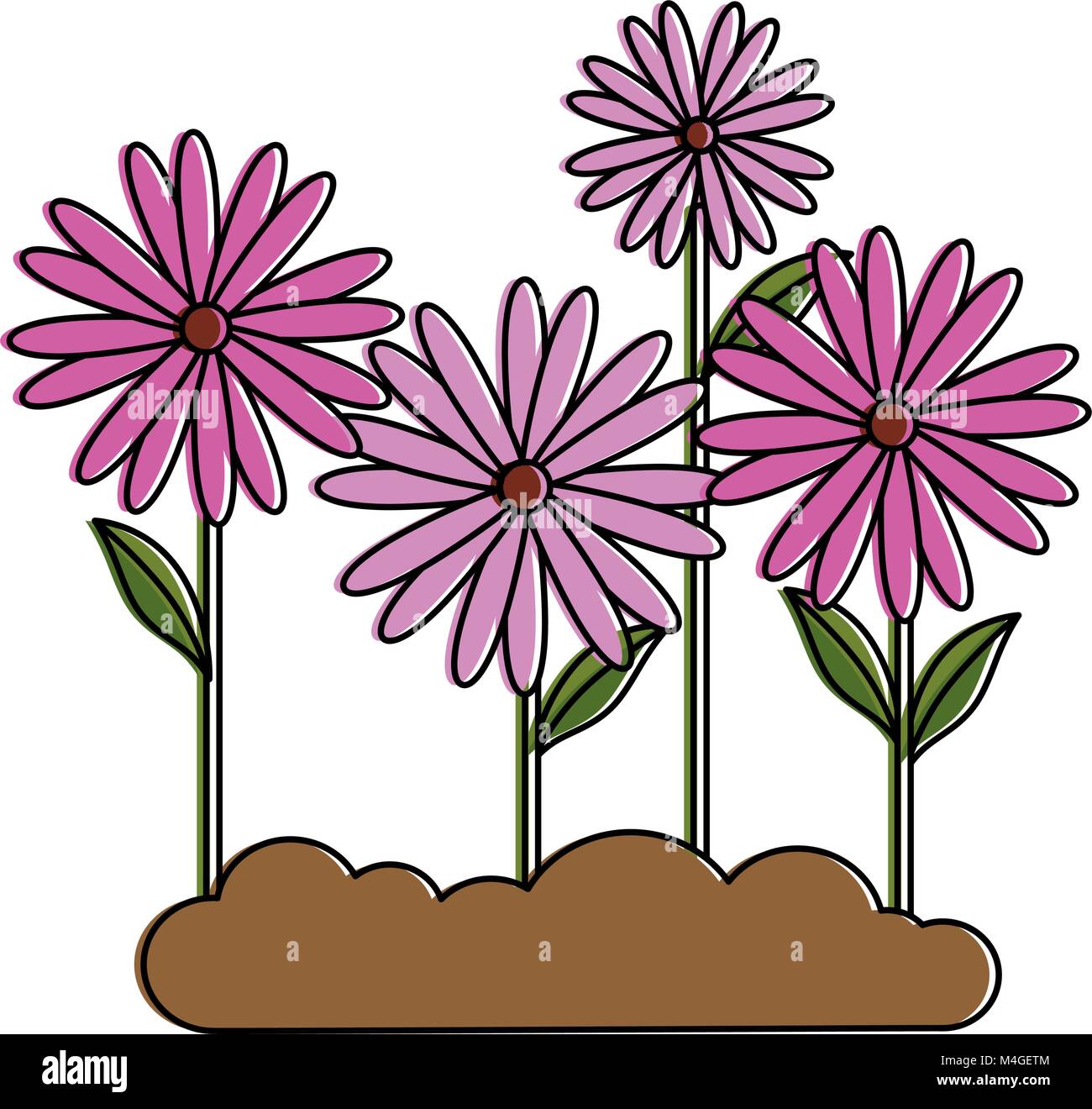 beautiful flowers garden cultivated Stock Vector Image & Art - Alamy