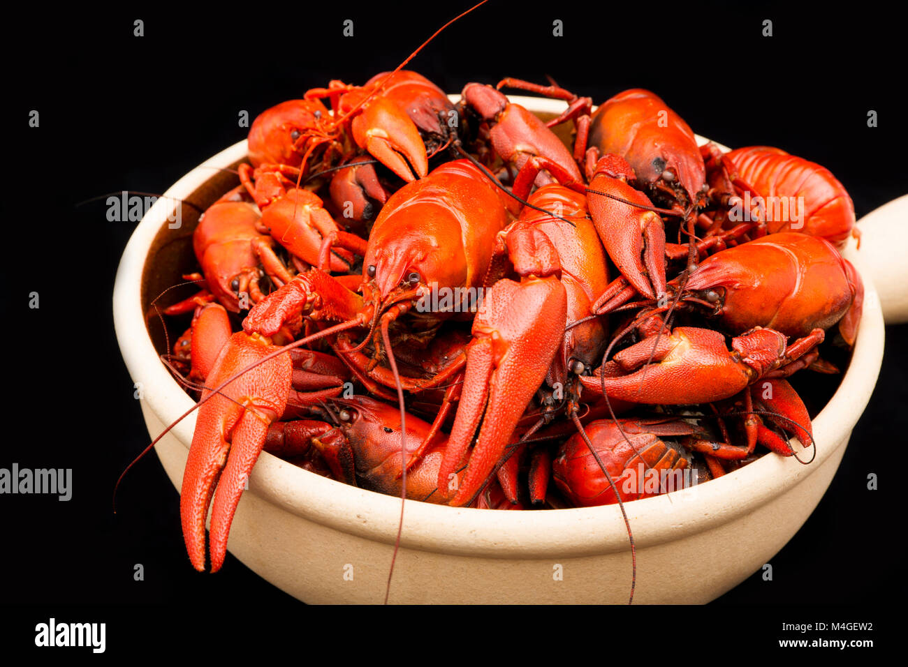 Crayfish uk hi-res stock photography and images - Alamy