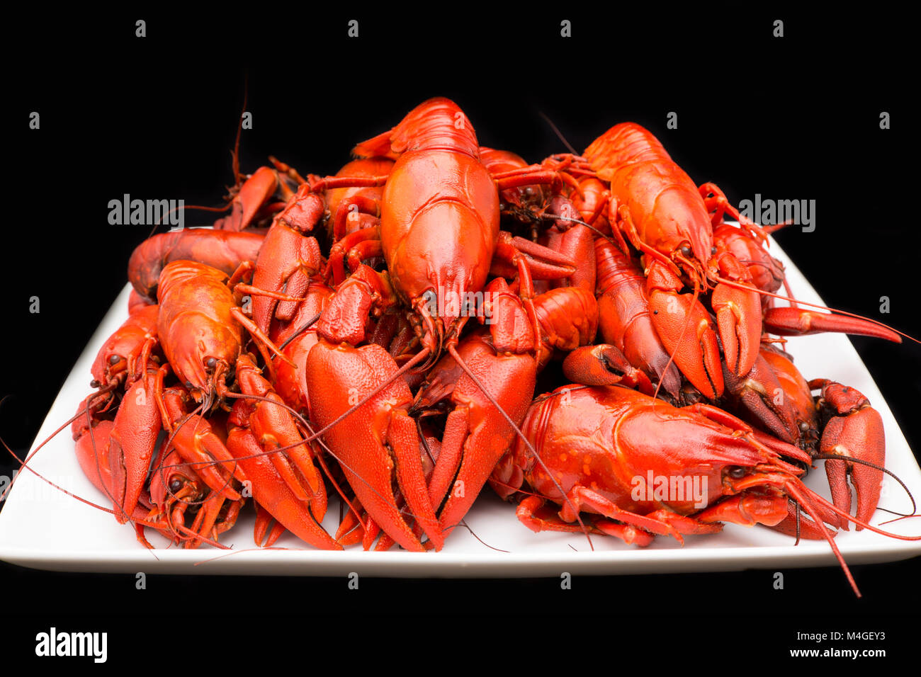 Cooked american signal crayfish hi-res stock photography and images - Alamy