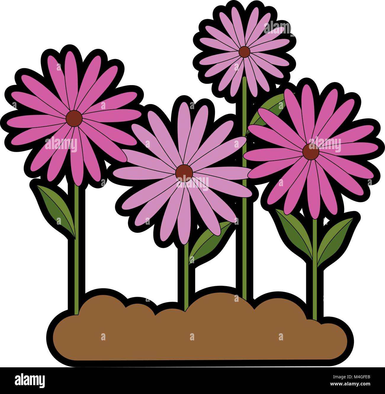 Beautiful flowers garden cultivated Stock Vector Images - Alamy