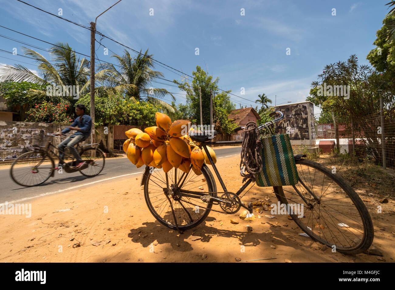 Jaffna tamil woman hi-res stock photography and images - Alamy