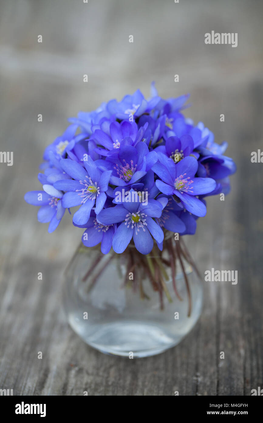 Put flowers on table hi-res stock photography and images - Alamy
