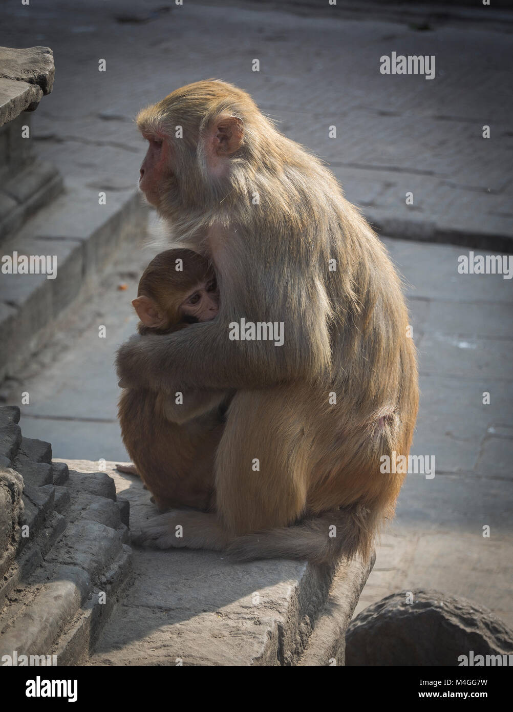Templo de kathmandu hi-res stock photography and images - Alamy