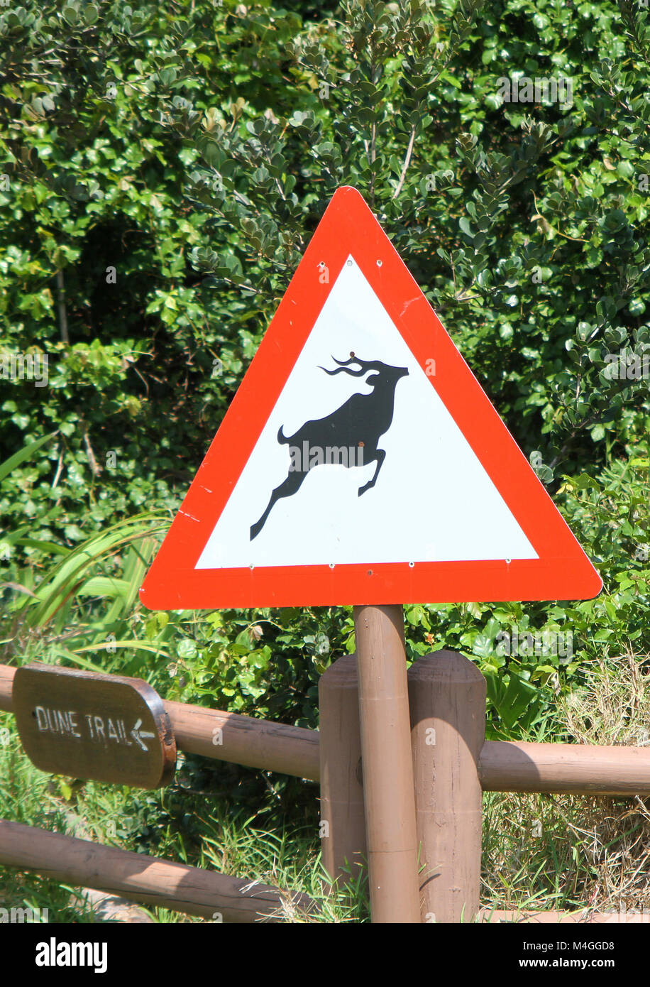 Traffic sign: Deer Crossing, San Lameer Golf Resort, South Coast ...