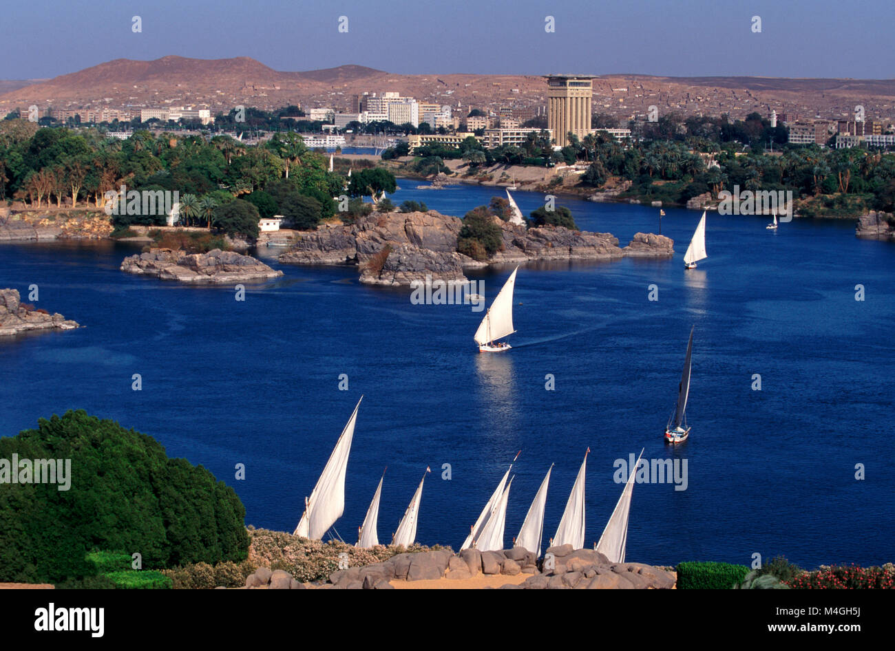 White feluccas hi-res stock photography and images - Alamy