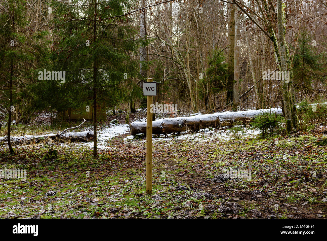 winter rural scene with road and sign showing direction in future Stock ...