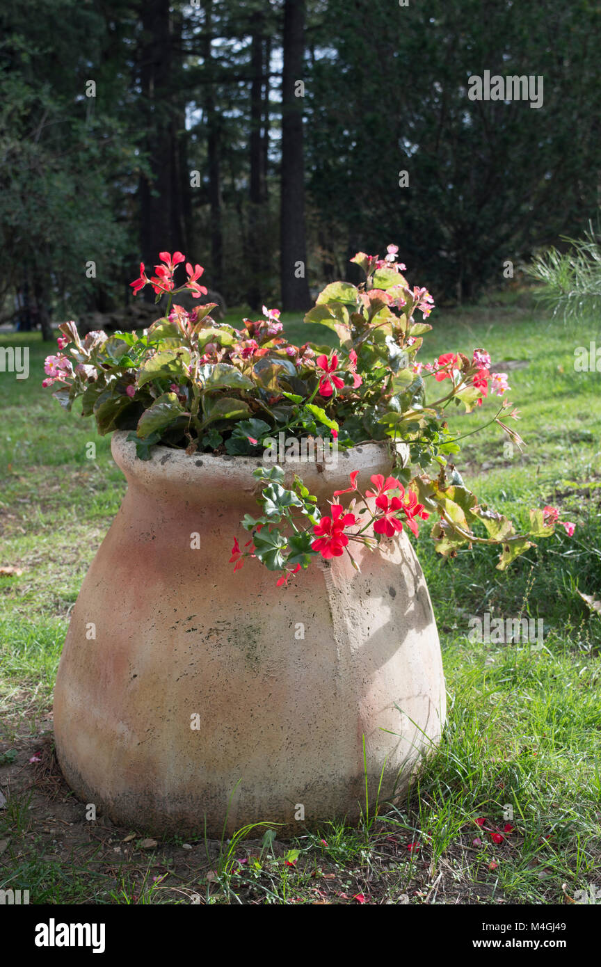 Diy pot hi-res stock photography and images - Alamy