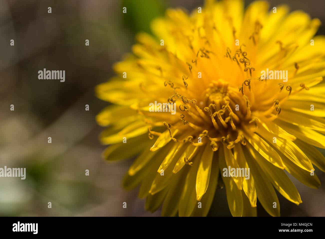 Loan details hi-res stock photography and images - Alamy