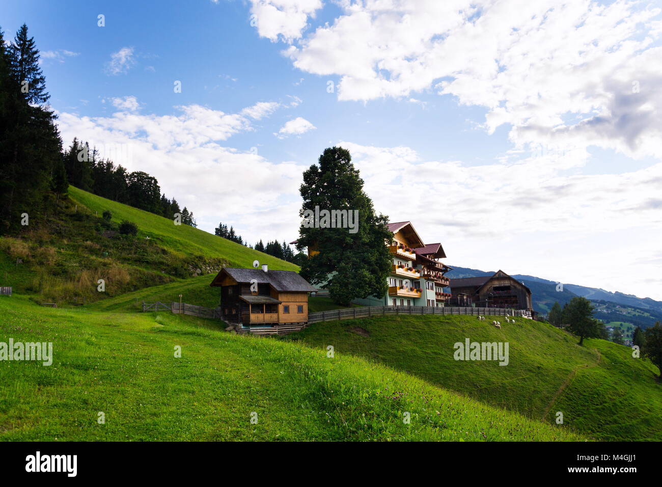 Hillside log cabin hi-res stock photography and images - Alamy