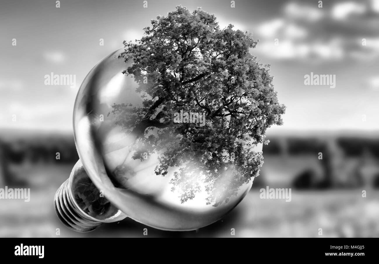 Virtual horizon Black and White Stock Photos & Images - Alamy