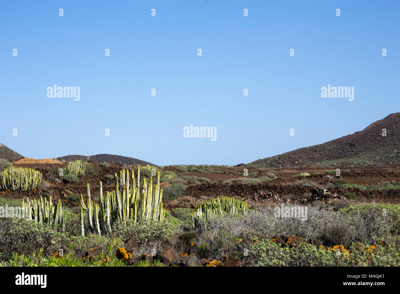Canary geological geology landmark nature stratovolcano hi-res stock ...