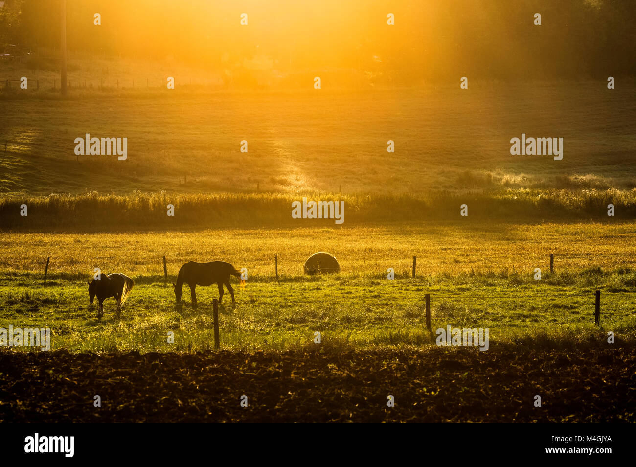 Rural german scene hi-res stock photography and images - Alamy
