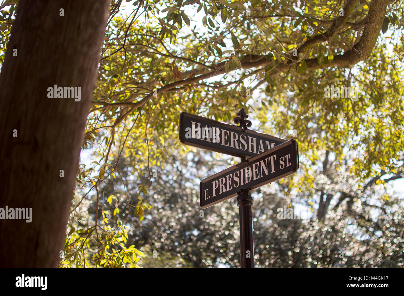 Street signs in Savannah, Georgia Stock Photo - Alamy