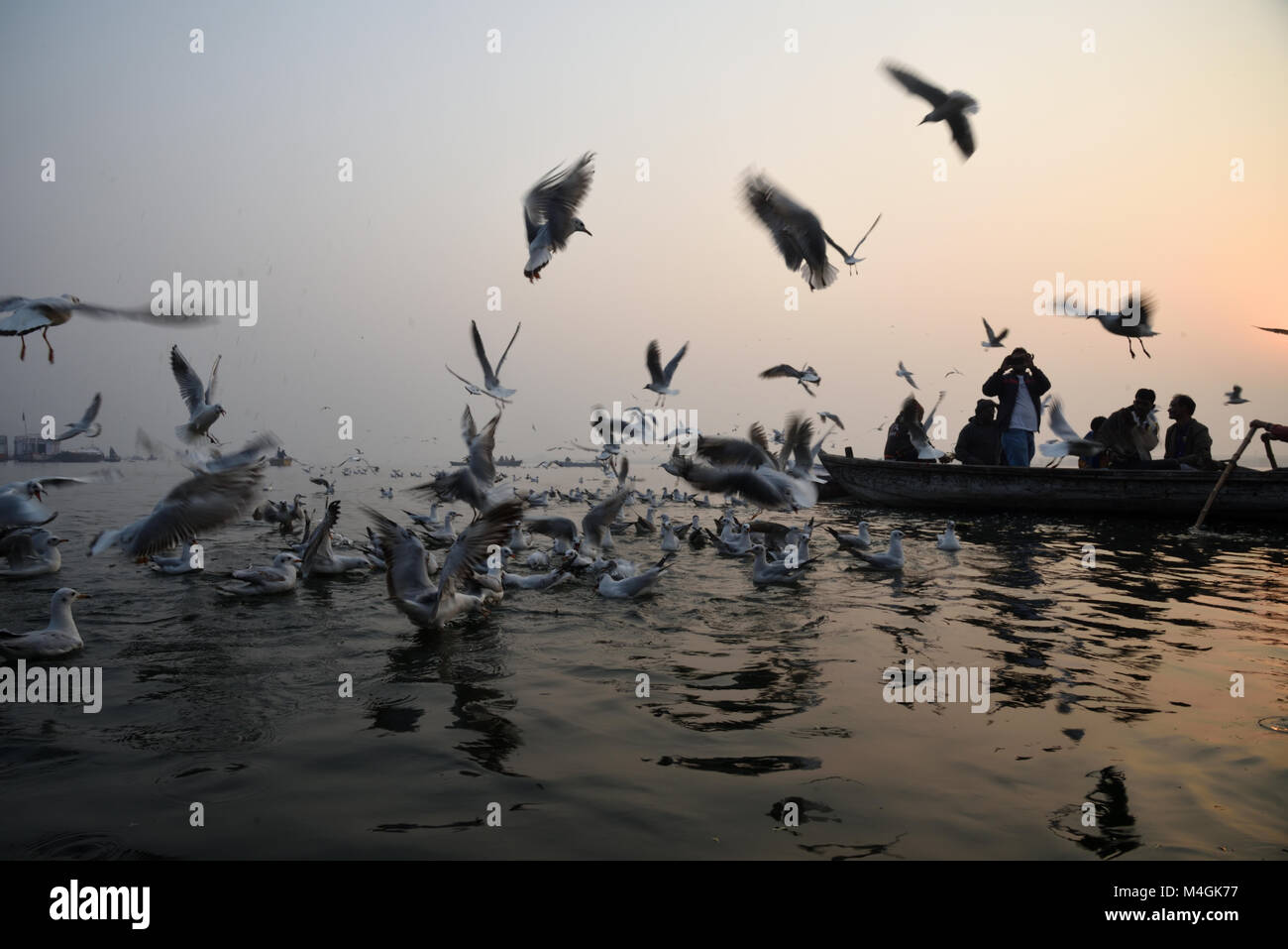 Early morning scene with birds and boats, in Varanasi Stock Photo - Alamy