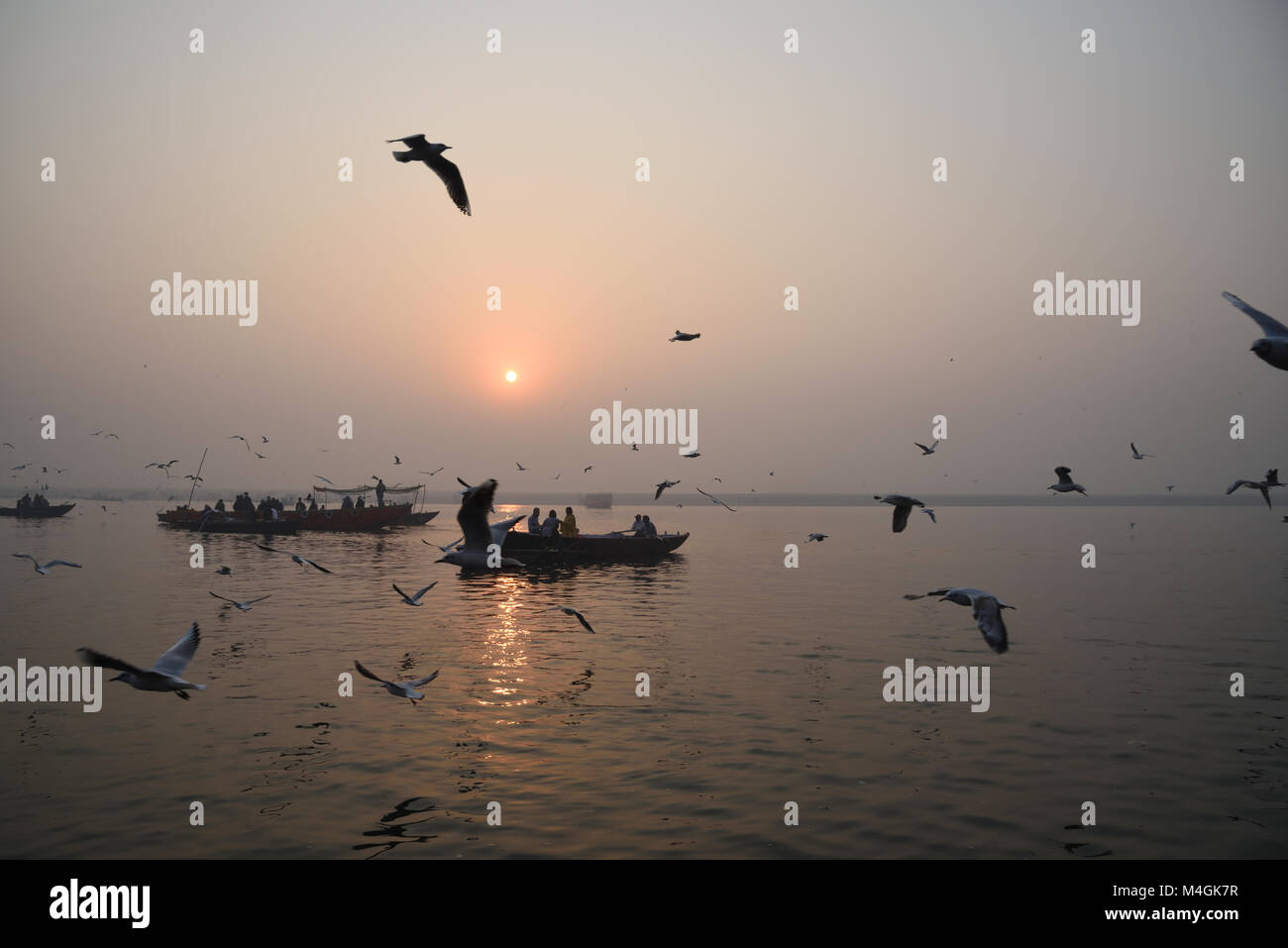 Early morning scene with birds and boats, in Varanasi Stock Photo - Alamy