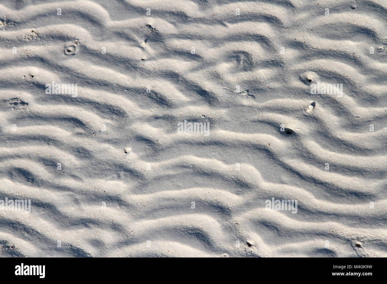Close up of wet sea sand, Kiwengwa beach, Zanzibar, Tanzania Stock ...
